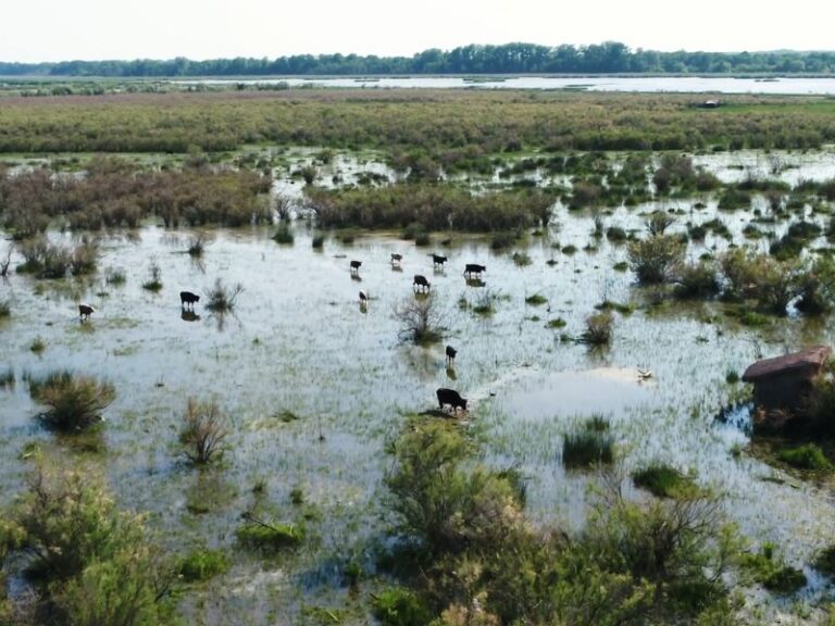 Šta videti u Rumuniji? Mesta koja će vas naterati da se zaljubite u ovu ...